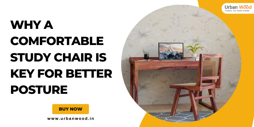 Why A Comfortable Study Chair is Key for Better Posture