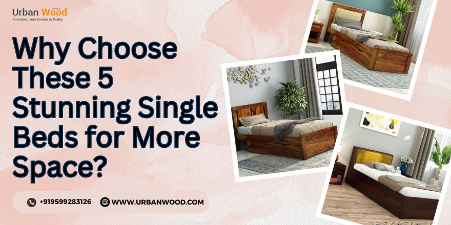 Why Choose These 5 Stunning Single Beds for More Space?